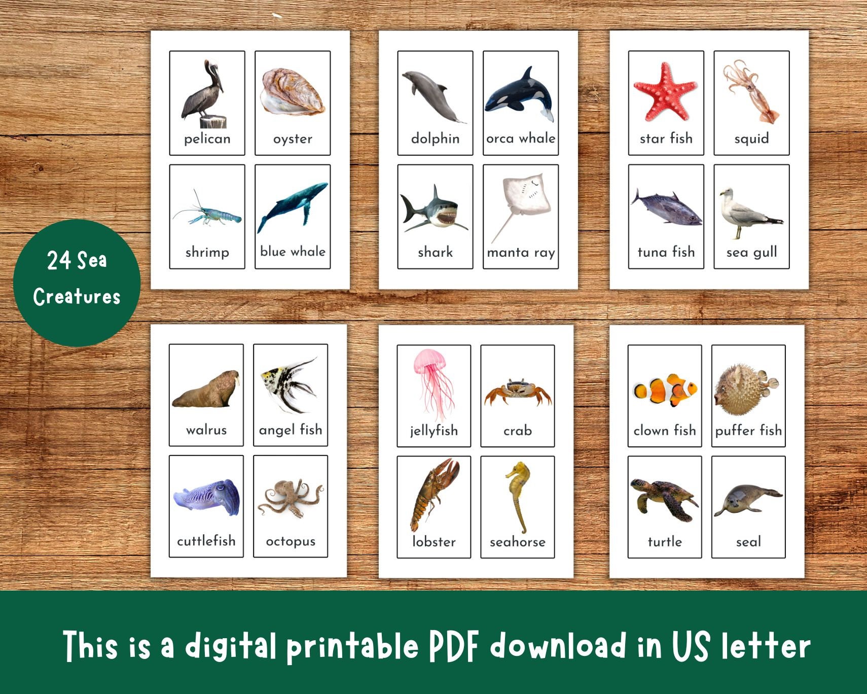 Animal Flash Cards, Pet Farm Animal Flashcards, Zoo Jungle Animals, Sea ...