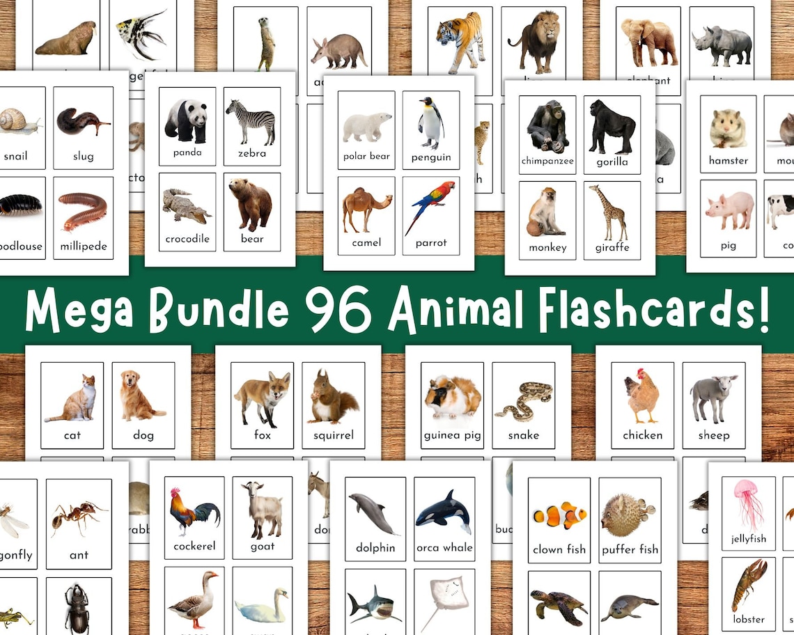 Animal Flash Cards, Pet Farm Animal Flashcards, Zoo Jungle Animals, Sea ...