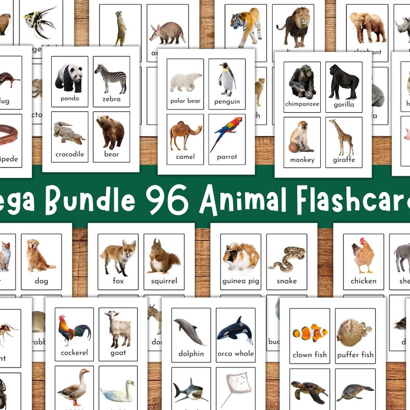 Printable Farm Animals Flashcard - Etsy New Zealand