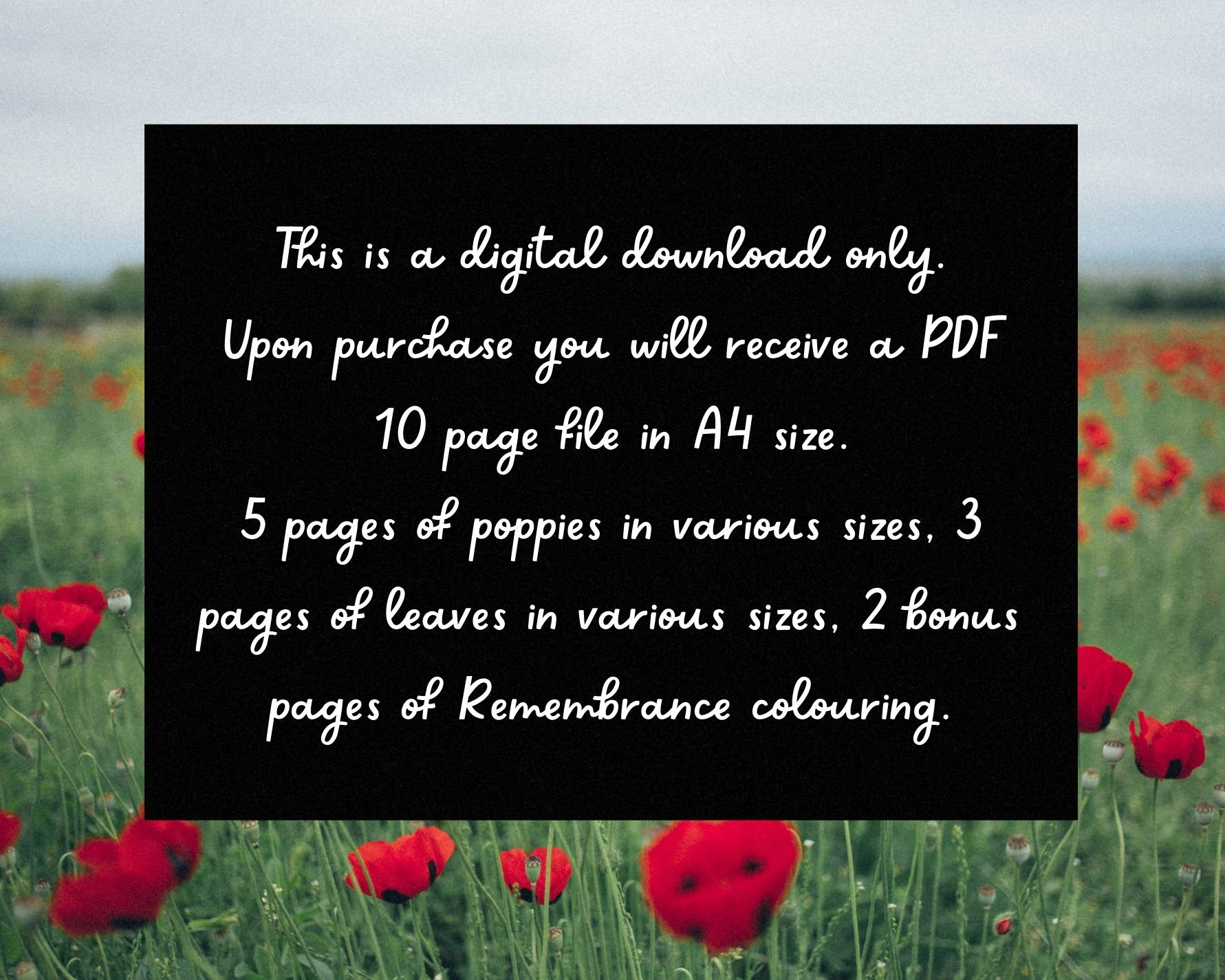 Remembrance Day Craft and Colouring Activity Pages, Kids Printable ...