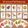 Autumn Vocabulary Flashcards for Kids | Fall Preschool Printable Cards ...