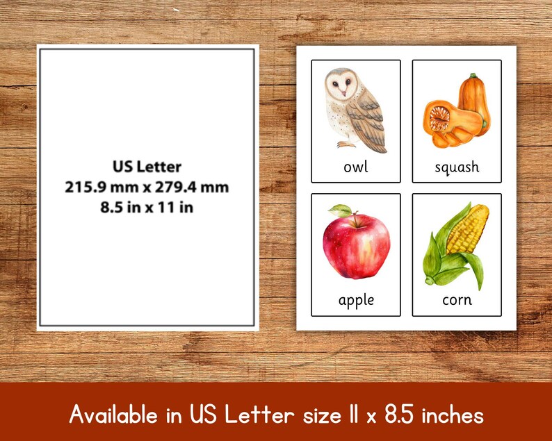 Fall Flash Cards, Autumn, Fall Flashcards, Fall Educational Printable ...