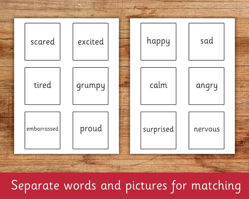 Emotions and Feelings Cards, Matching Picture Word Cards, Educational ...