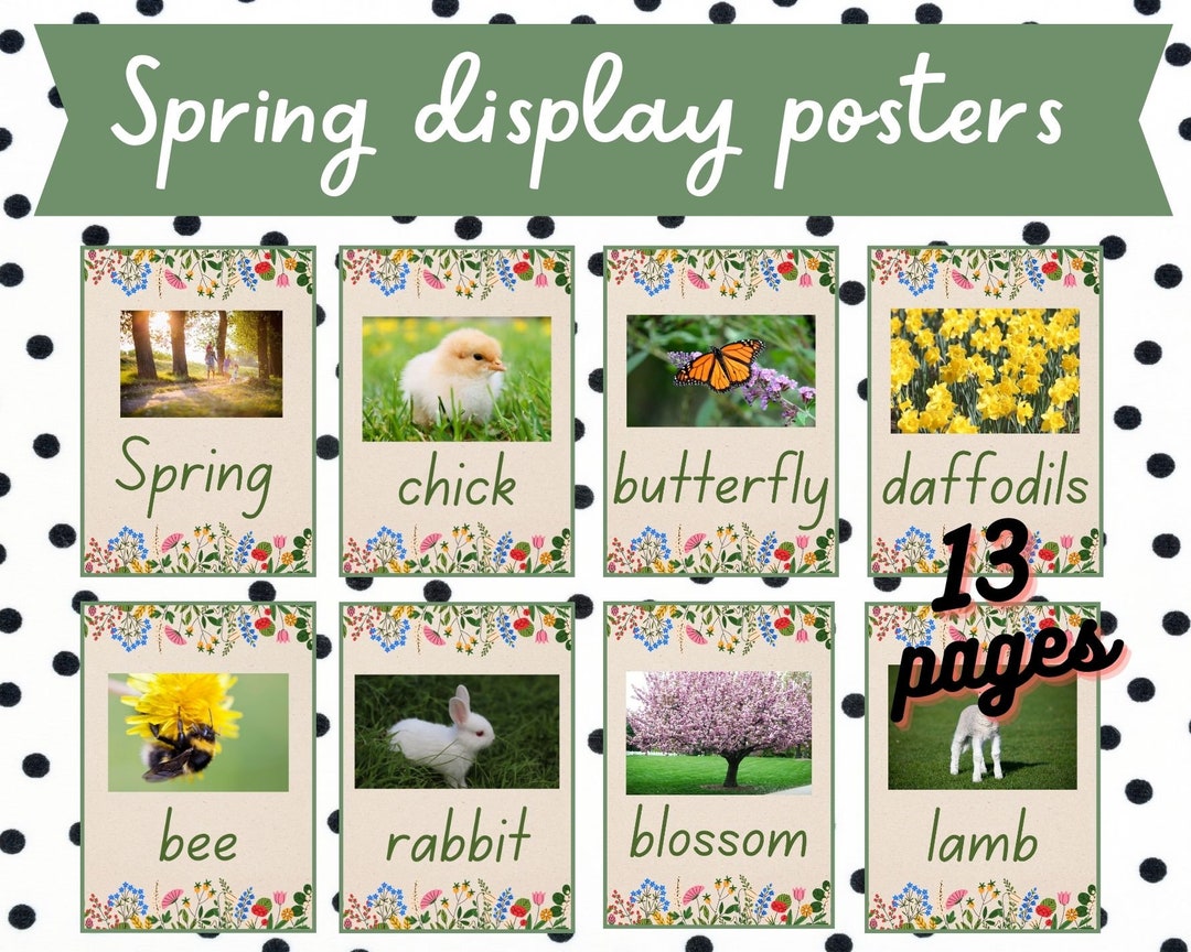Spring Classroom Display, Spring Flashcards, Real Photos, Seasons Flash ...