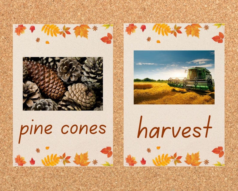 Autumn Fall Classroom Display Posters Keywords Pumpkin Bulletin Board ...