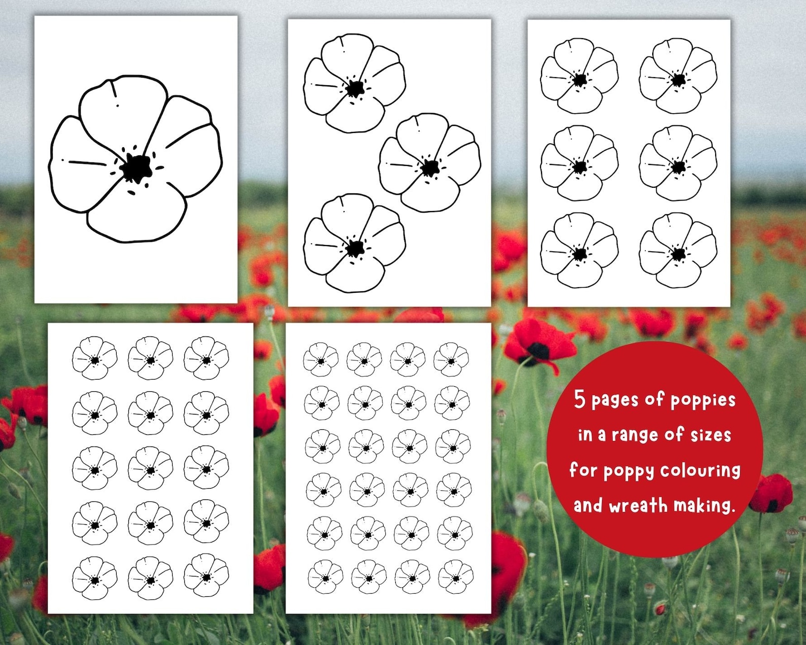 Remembrance Day Craft and Colouring Activity Pages, Kids Printable ...