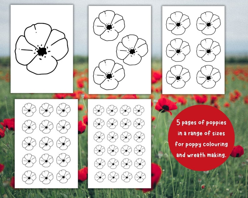 Remembrance Day Craft and Colouring Activity Pages, Kids Printable ...