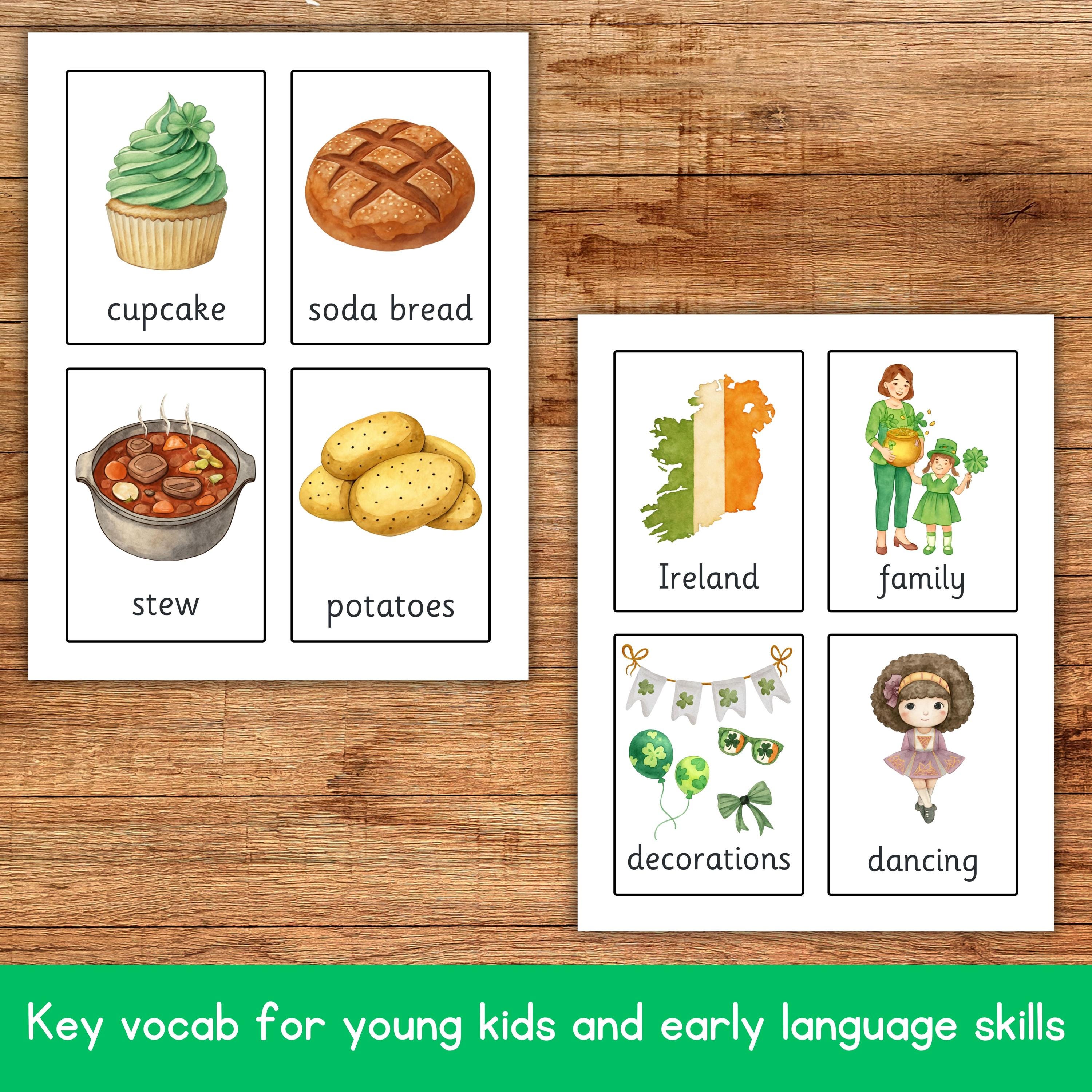 St Patrick's Day Flashcards, Educational Printable, Toddler Flashcards ...