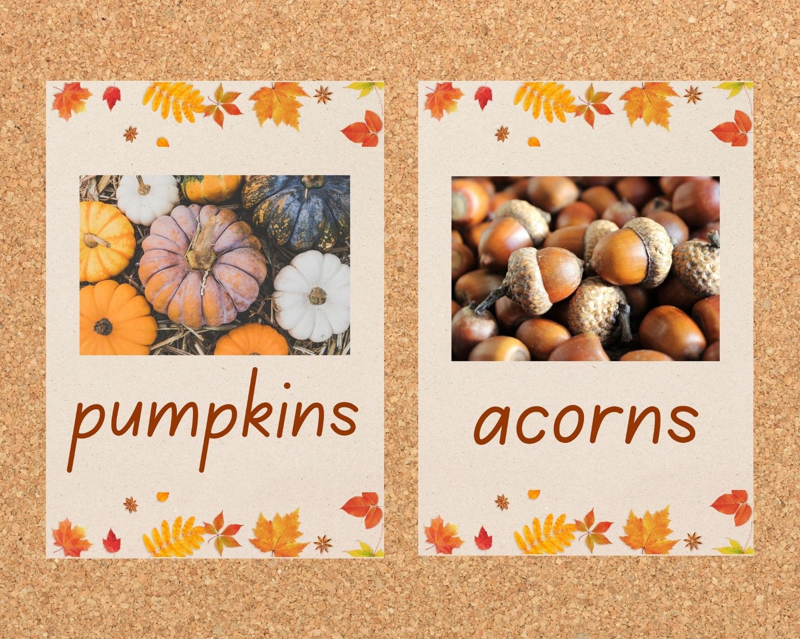 Autumn Fall Classroom Display Posters Keywords Pumpkin Bulletin Board ...