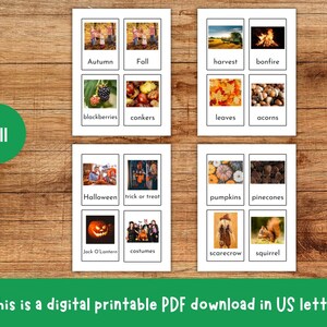 Seasons Flash Cards, Weather Flashcards, Months of the Year ...