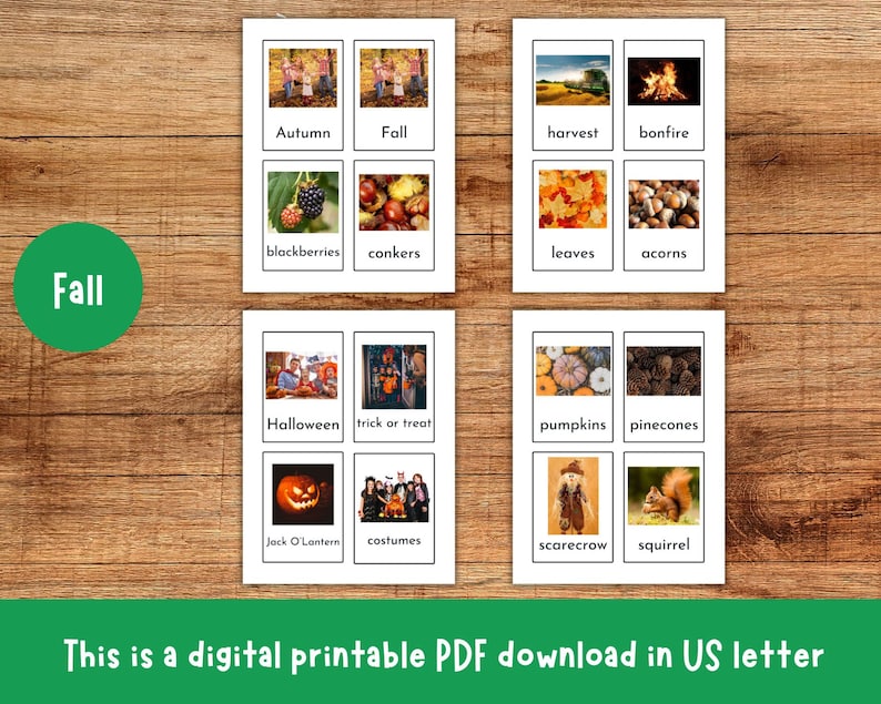 Seasons Flash Cards, Weather Flashcards, Months of the Year ...