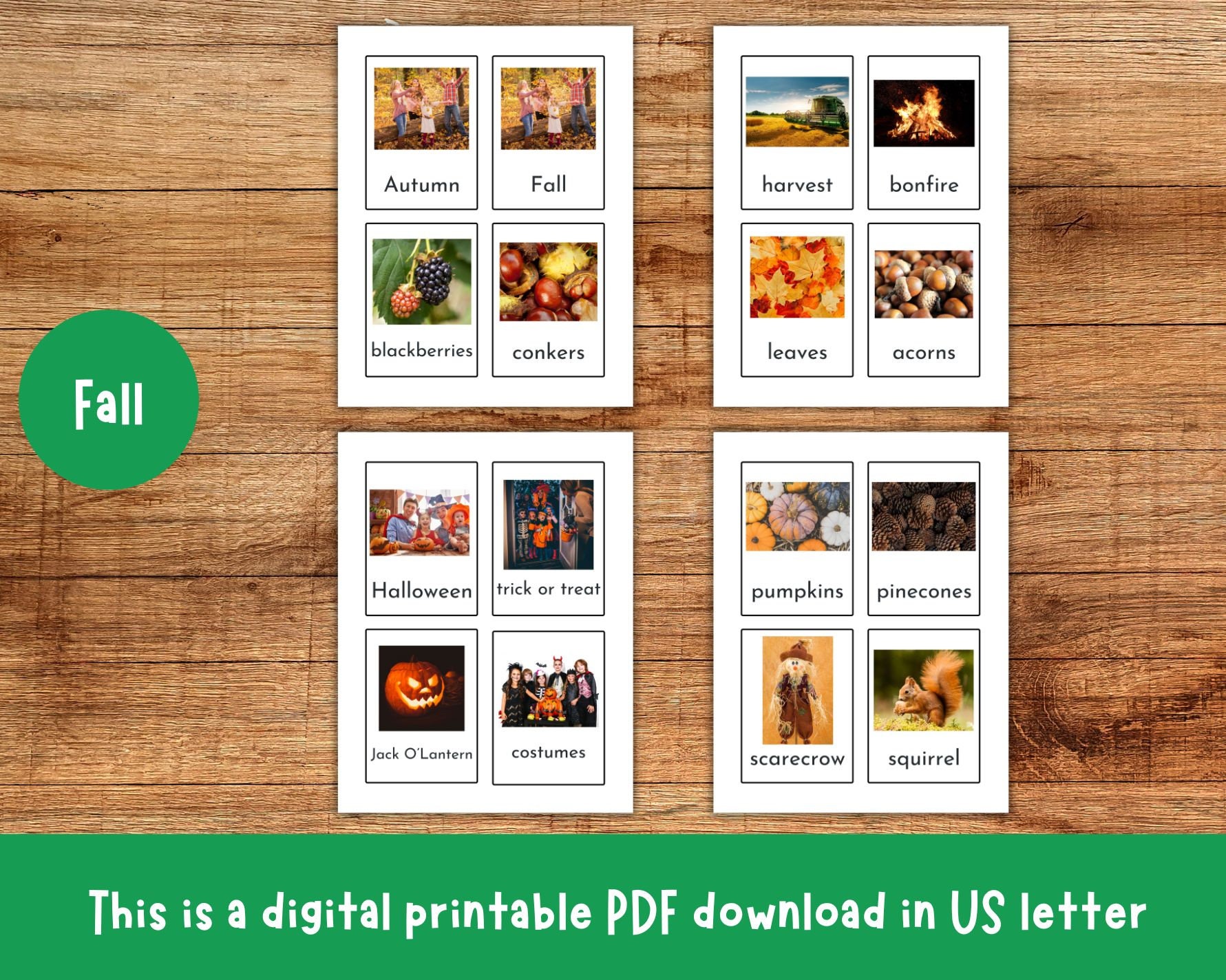 Seasons Flash Cards, Weather Flashcards, Months of the Year ...