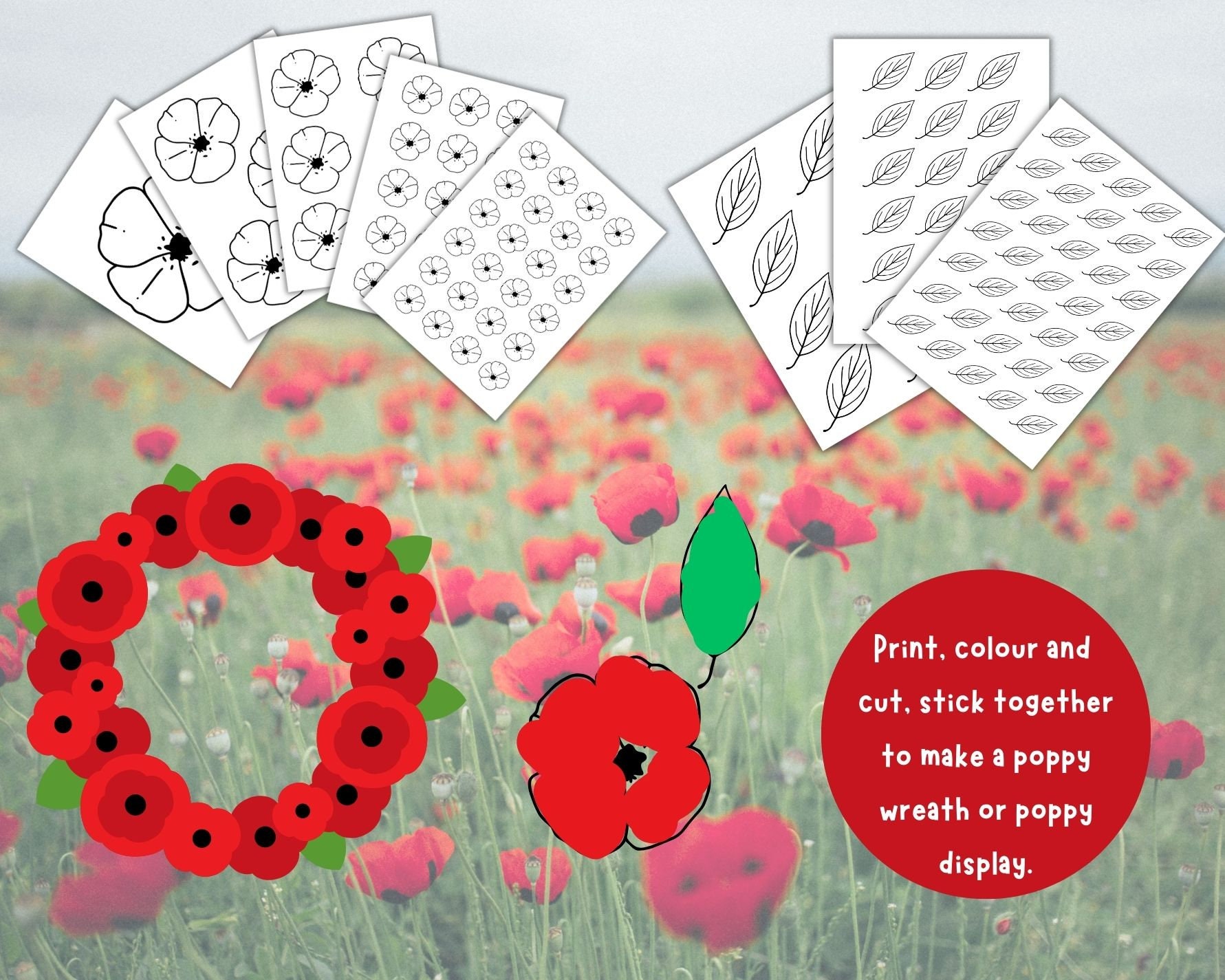 Remembrance Day Craft and Colouring Activity Pages, Kids Printable ...
