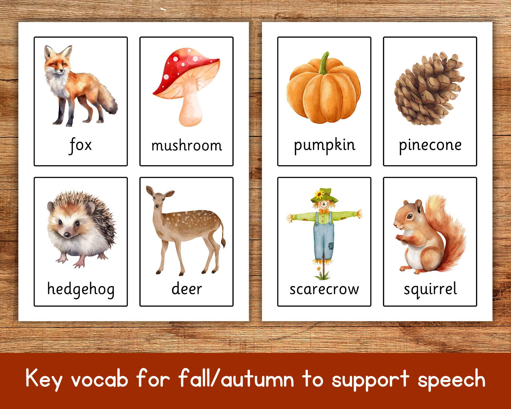 Fall Flash Cards, Autumn, Fall Flashcards, Fall Educational Printable ...