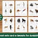 Animal Flash Cards, Pet Farm Animal Flashcards, Zoo Jungle Animals, Sea ...