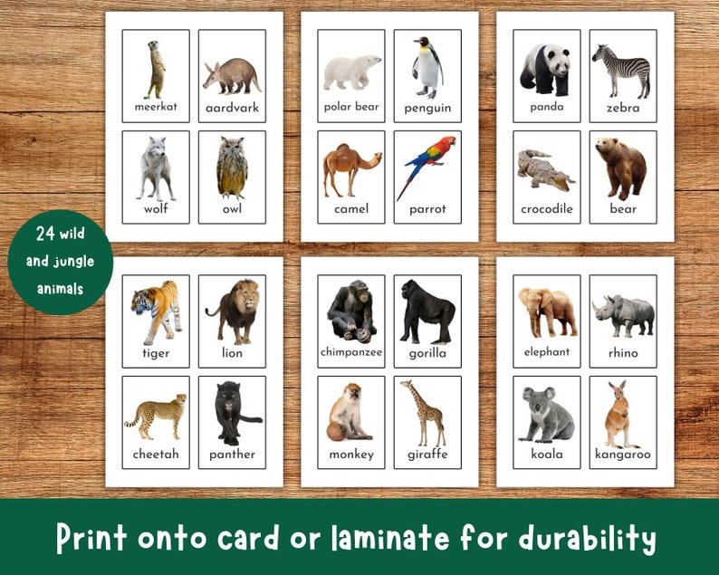 Animal Flash Cards, Pet Farm Animal Flashcards, Zoo Jungle Animals, Sea ...