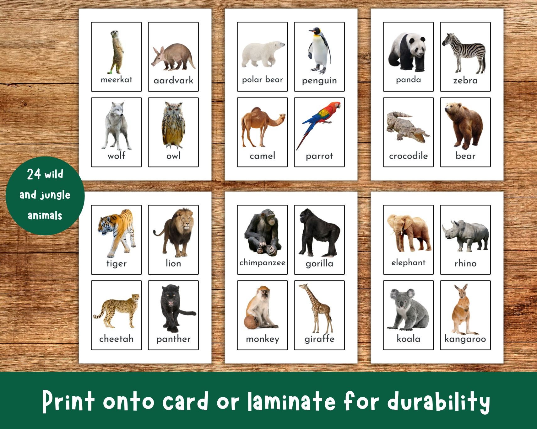 Animal Flash Cards, Pet Farm Animal Flashcards, Zoo Jungle Animals, Sea ...