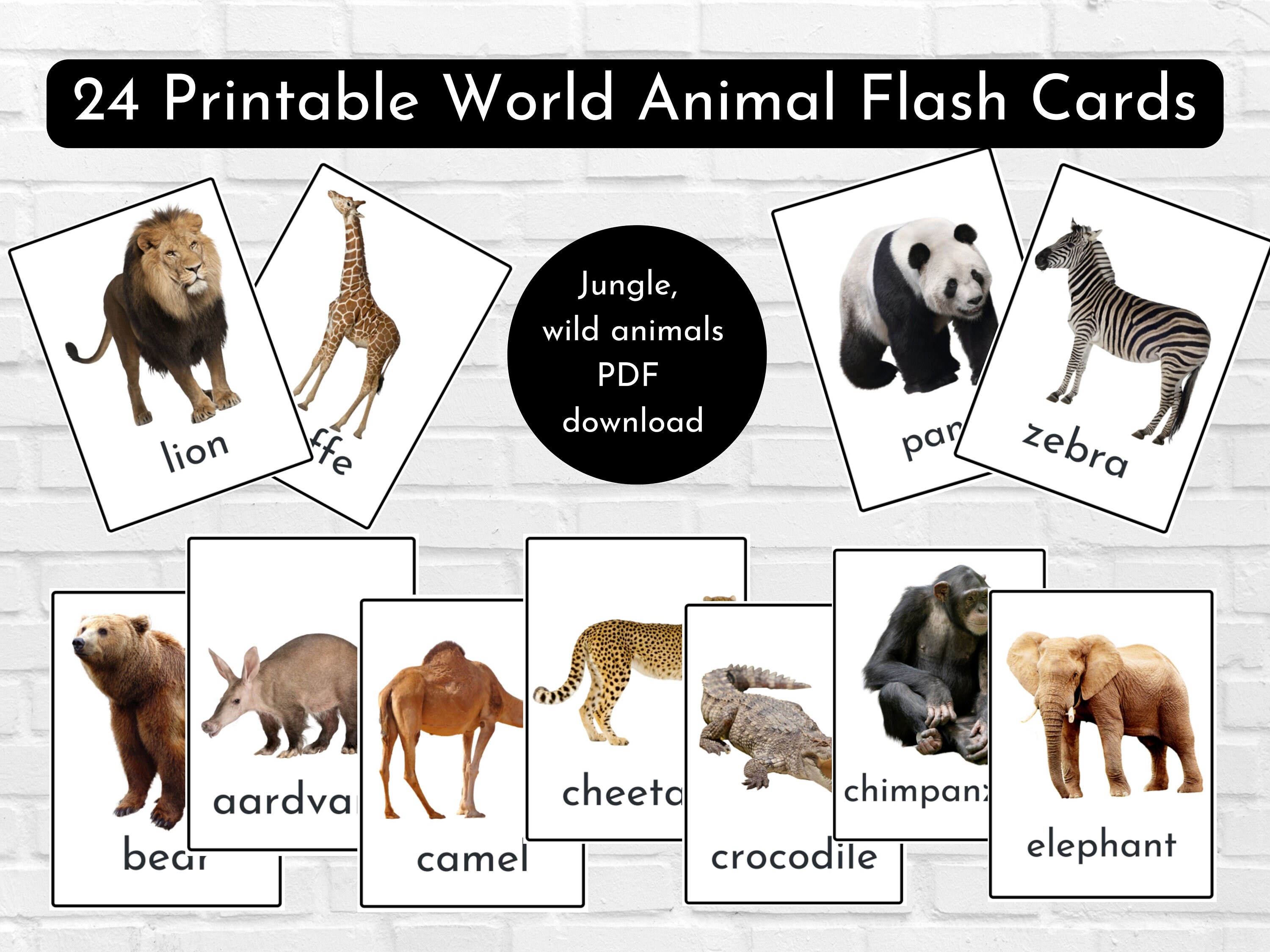 Jungle Animal Flash Cards Printable at Helen Mckenzie blog