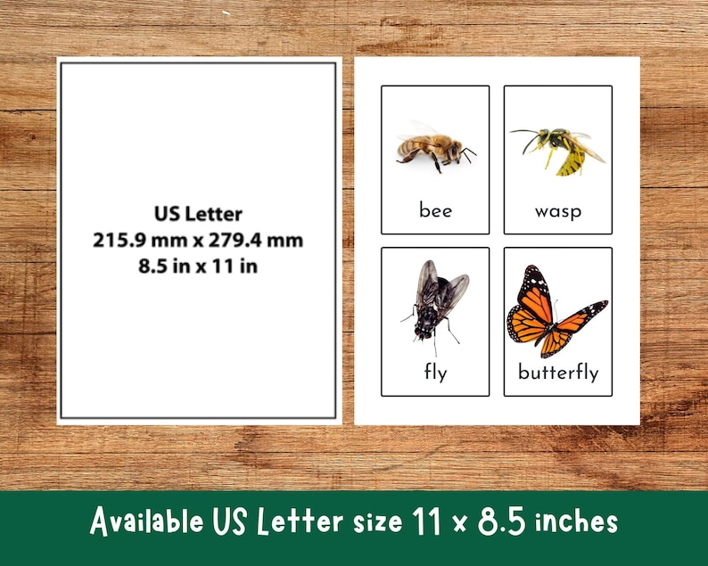 Animal Flash Cards, Pet Farm Animal Flashcards, Zoo Jungle Animals, Sea ...