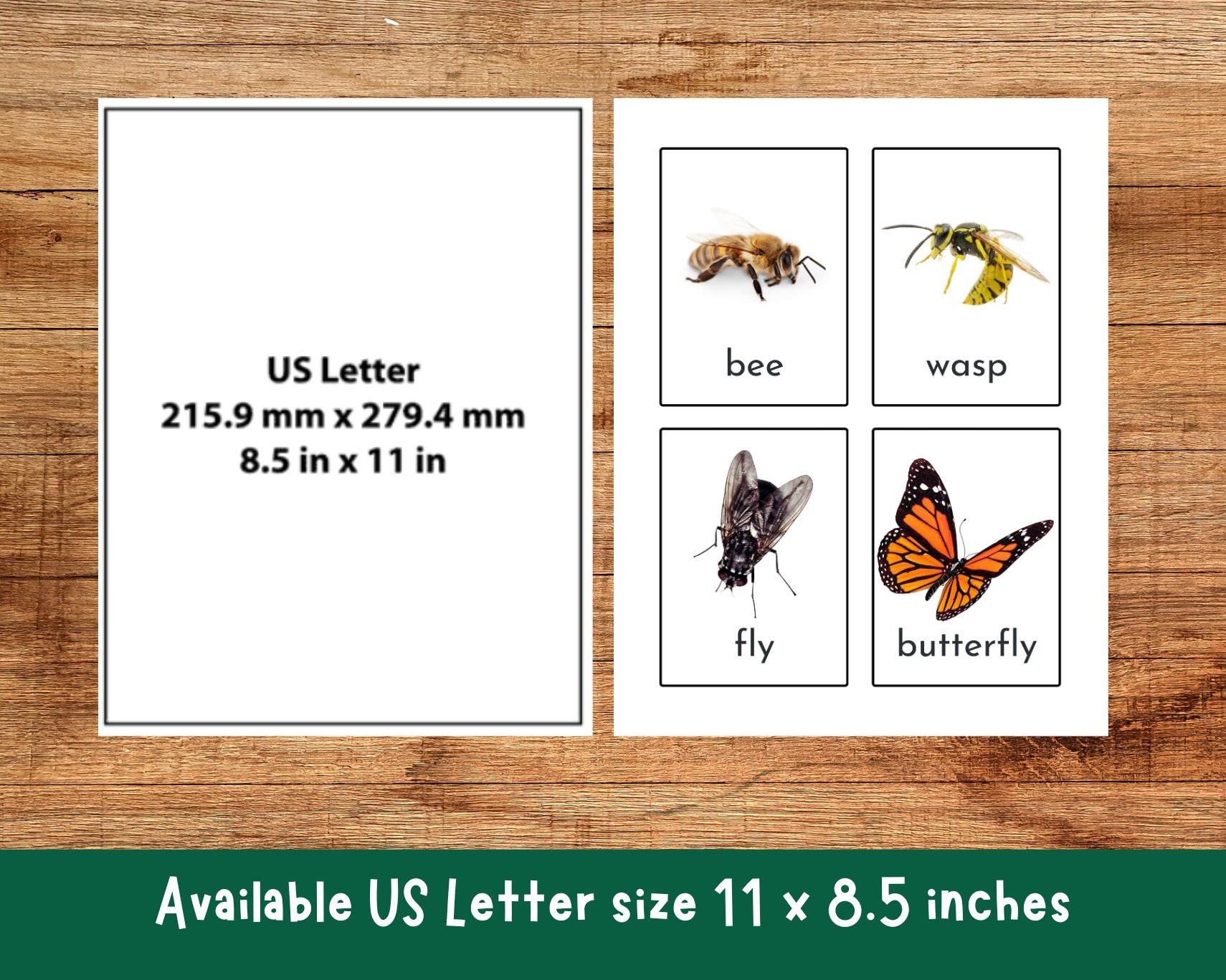 Animal Flash Cards, Pet Farm Animal Flashcards, Zoo Jungle Animals, Sea ...