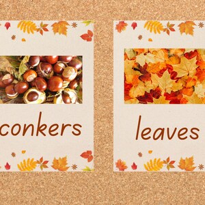 Autumn Fall Classroom Display Posters Keywords Pumpkin Bulletin Board ...