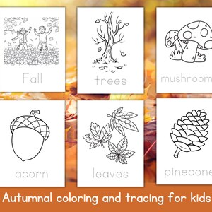 Fall Autumn Coloring Pages, Fall Activity for Kids, Fall Tracing, Prek ...