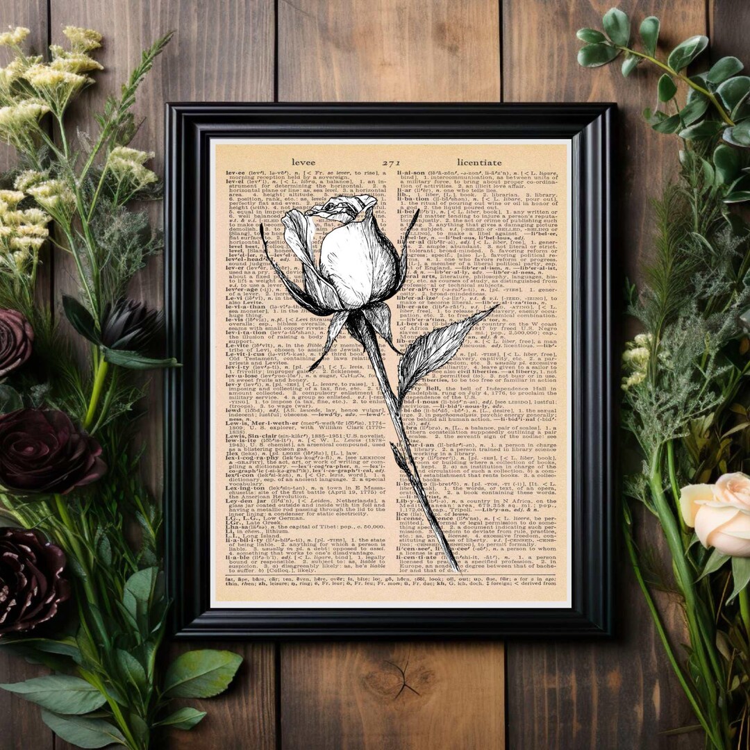 Rose No.1 Dictionary Art Print, Unframed - Etsy