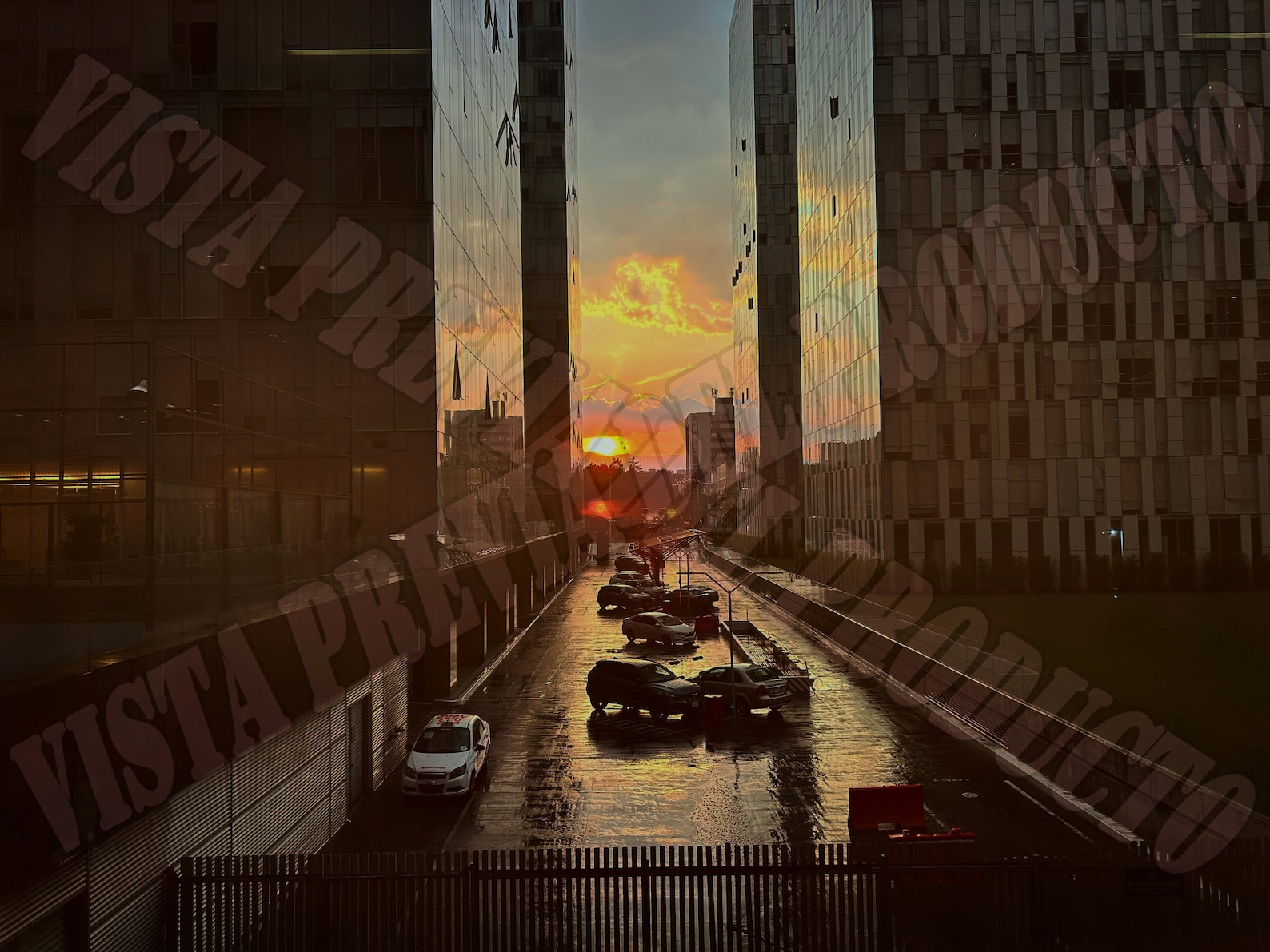 Miscellaneous Collection of 5 Digital Images (vol. 1) - Etsy