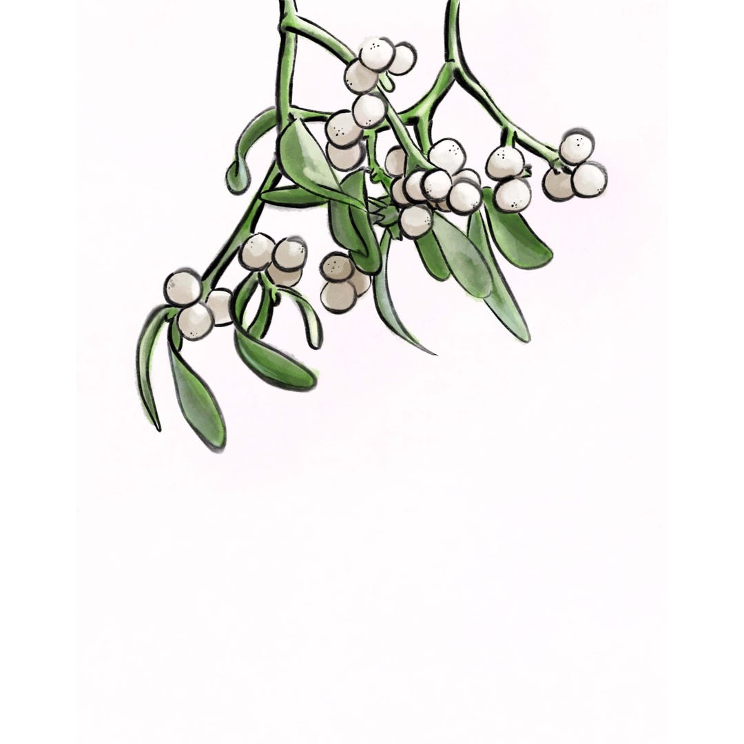 Watercolor Mistletoe Print: Festive Holiday Wall Art (digital Download ...