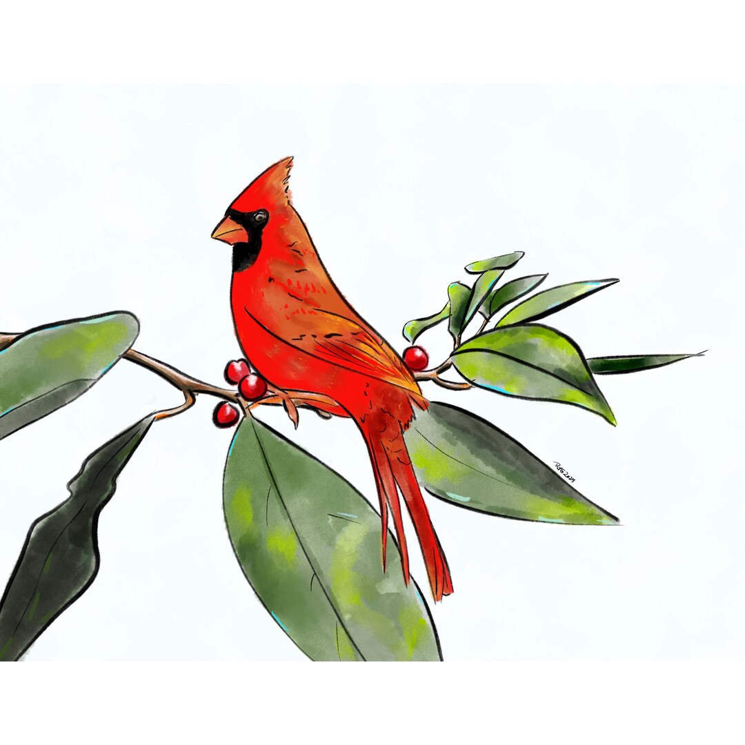 Christmas Cardinal Illustration – Festive Holiday Season Wall Art Print ...