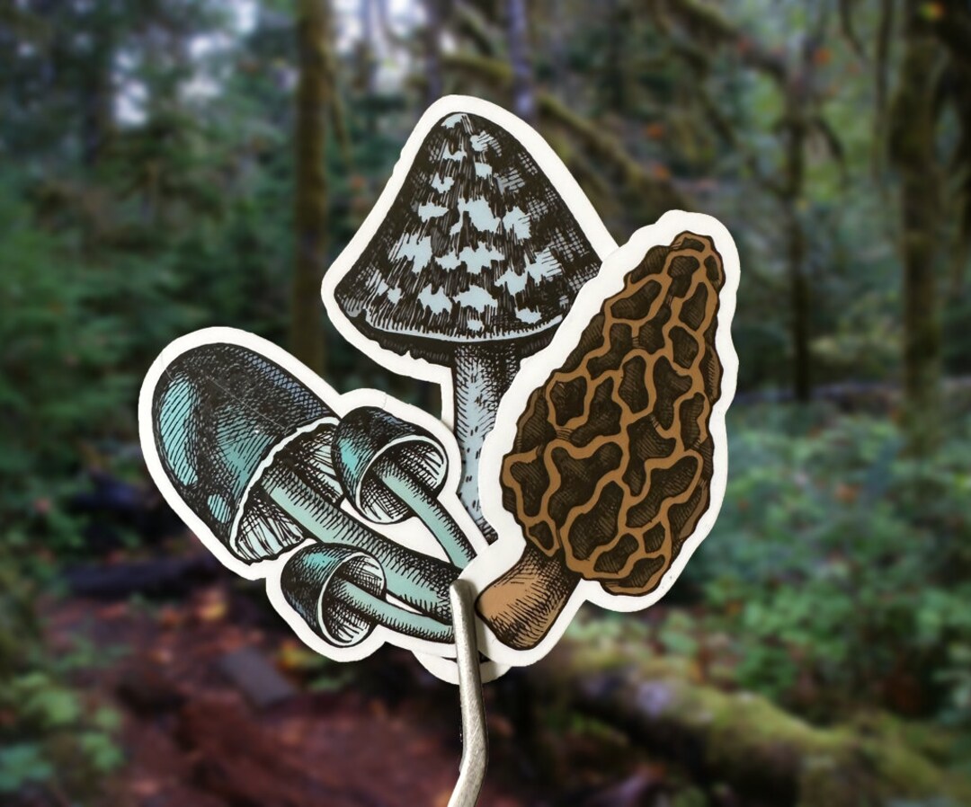 Mushroom Sticker Pack - Handmade Vinyl Mushroom Sticker Set ...
