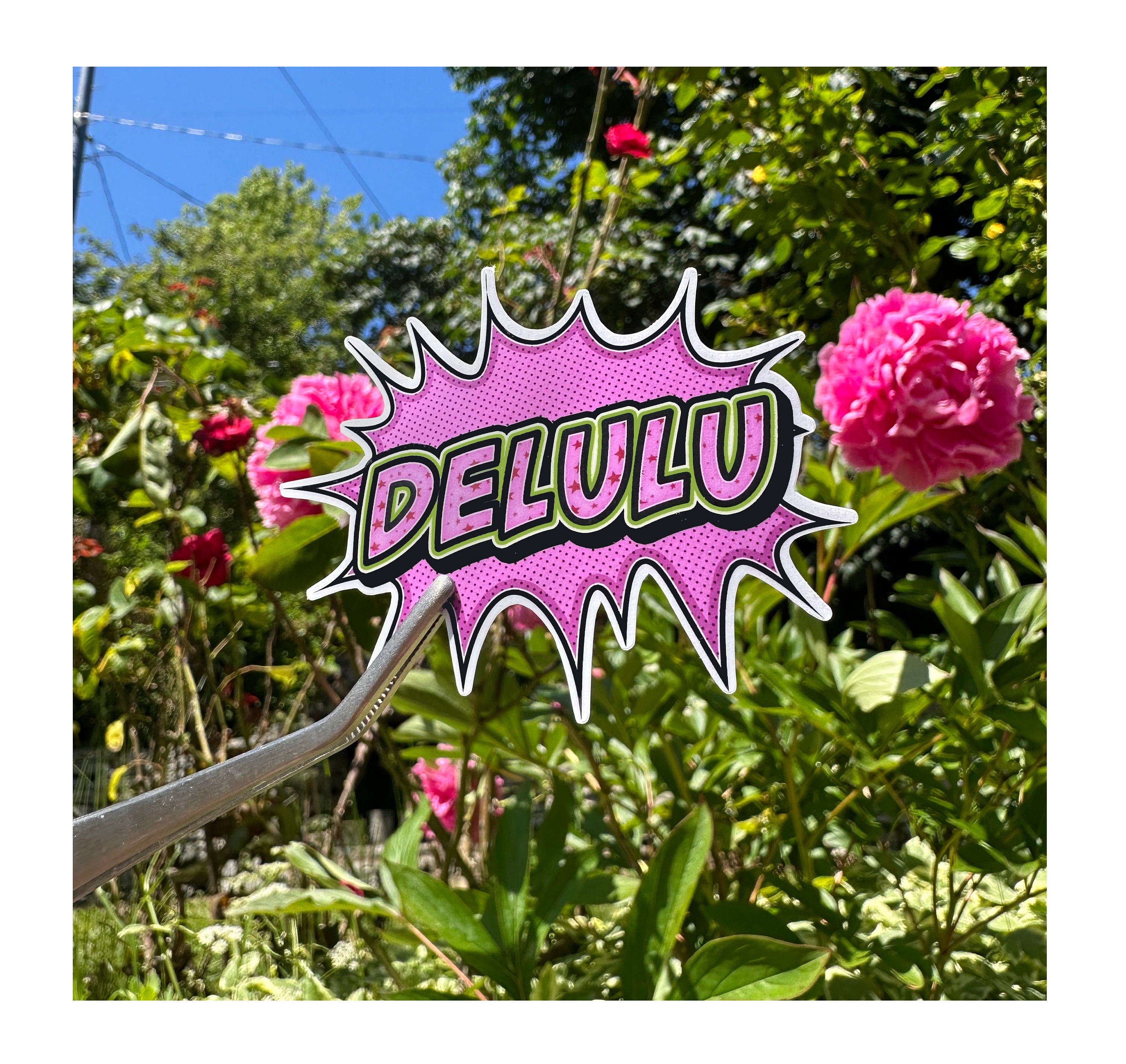 Delulu Sticker, Cute Pink Pop Art Tik Tok Sticker, Handmade Vinyl ...
