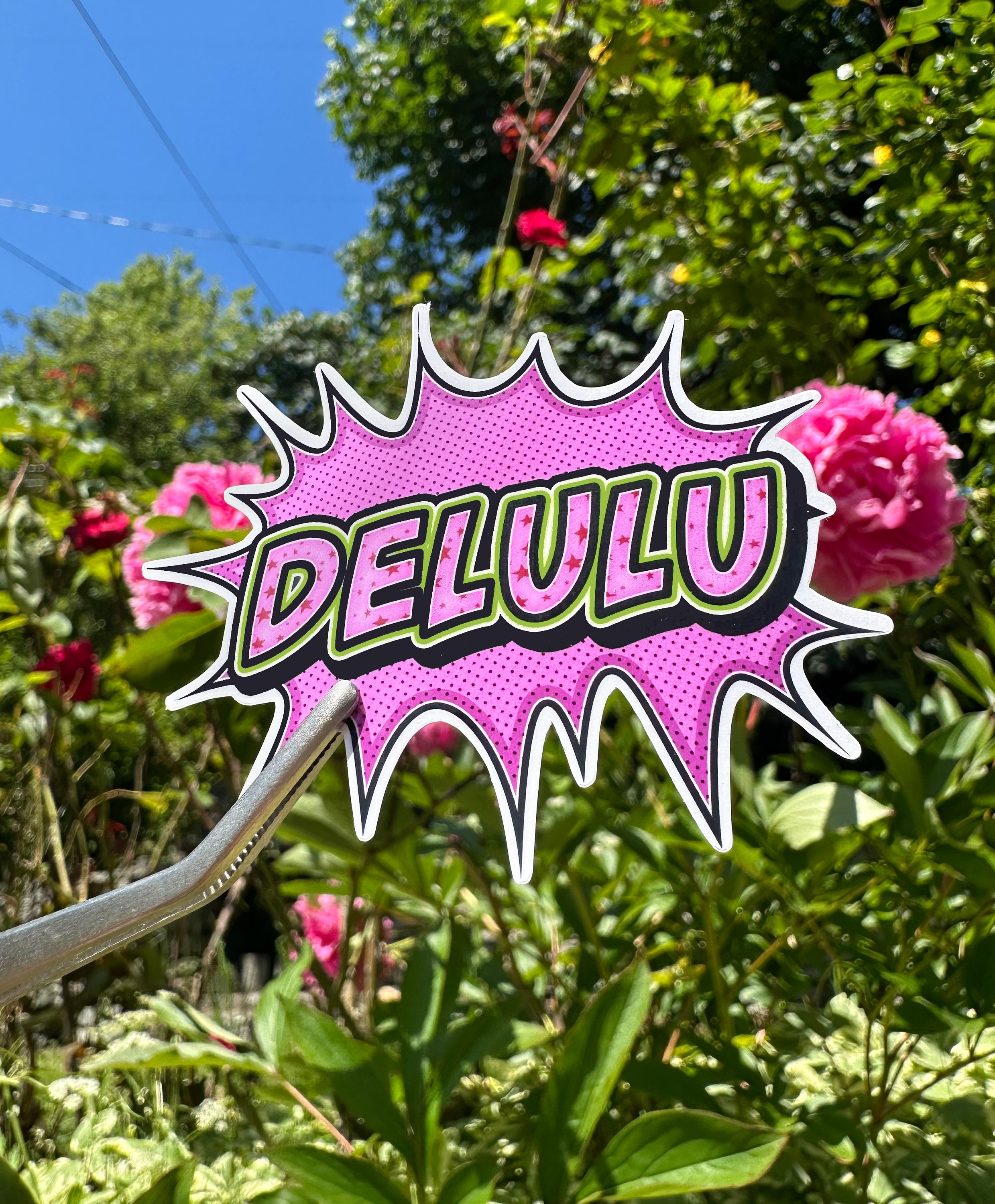 Delulu Sticker, Cute Pink Pop Art Tik Tok Sticker, Handmade Vinyl ...