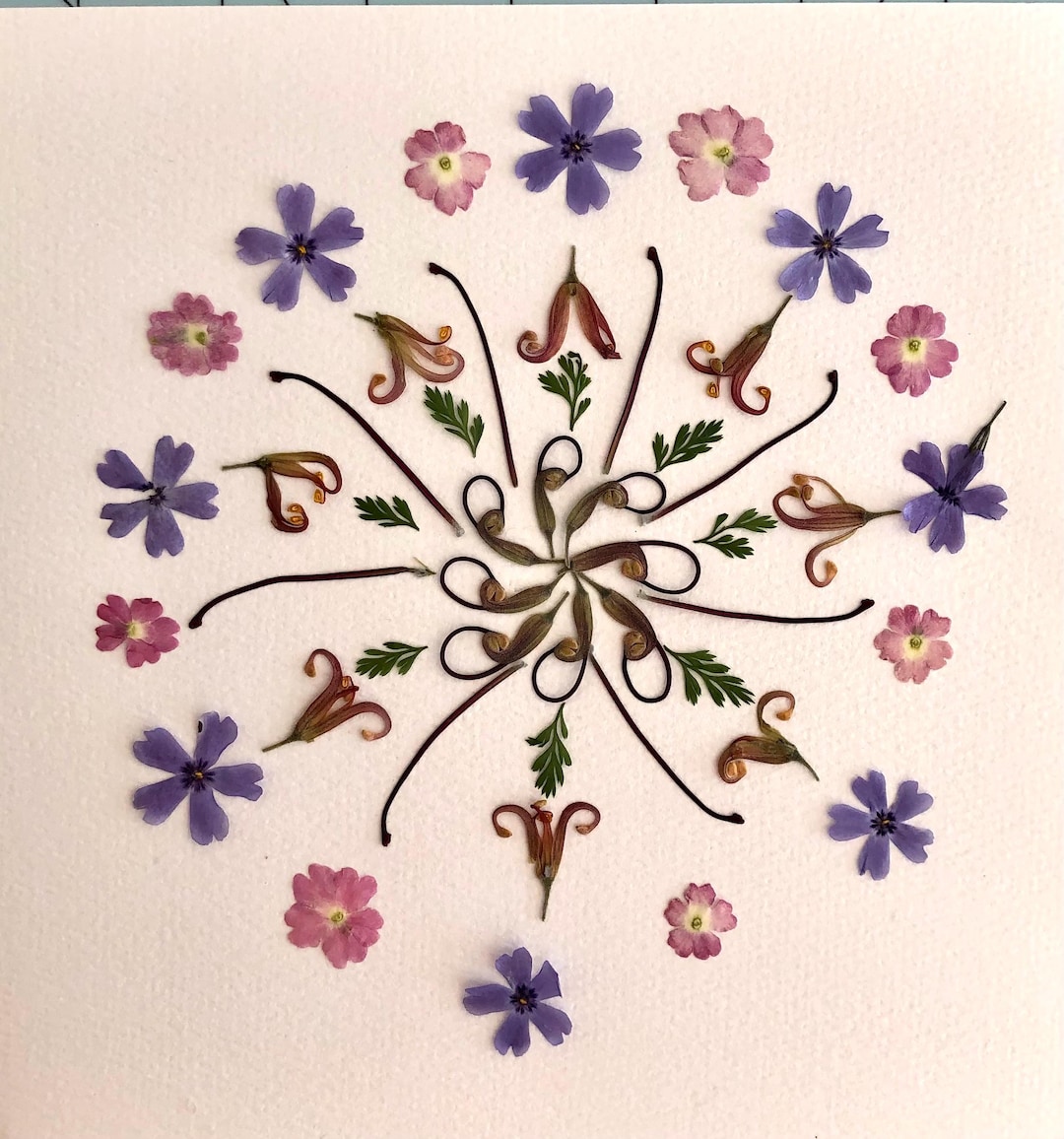 DIY Kit for Pressed Flower Mandala , Materials Only , for DIY . You ...