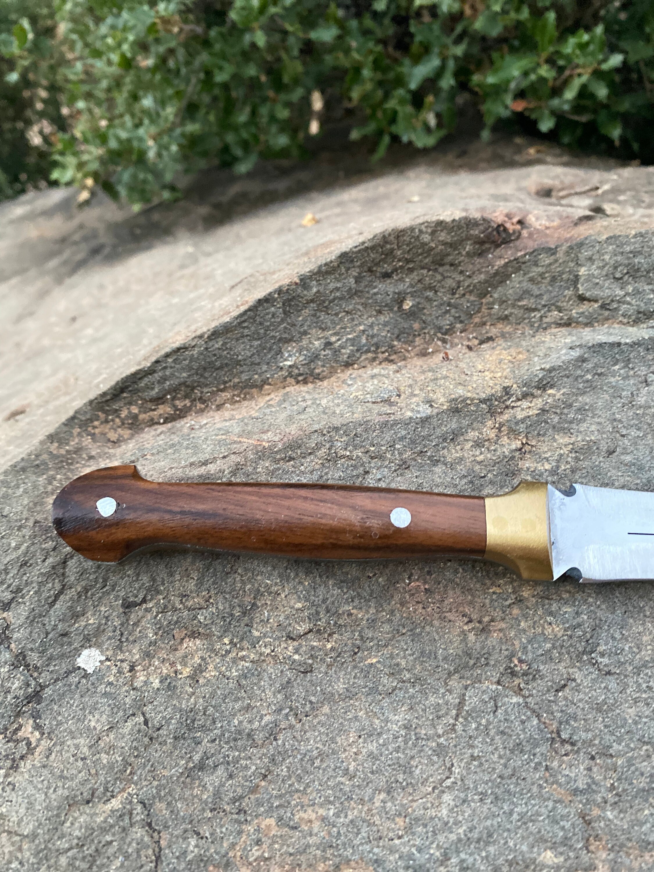 Dagger Knife With Case Mini Hidden Blade Walnut Handle Fairbairn Syke ...