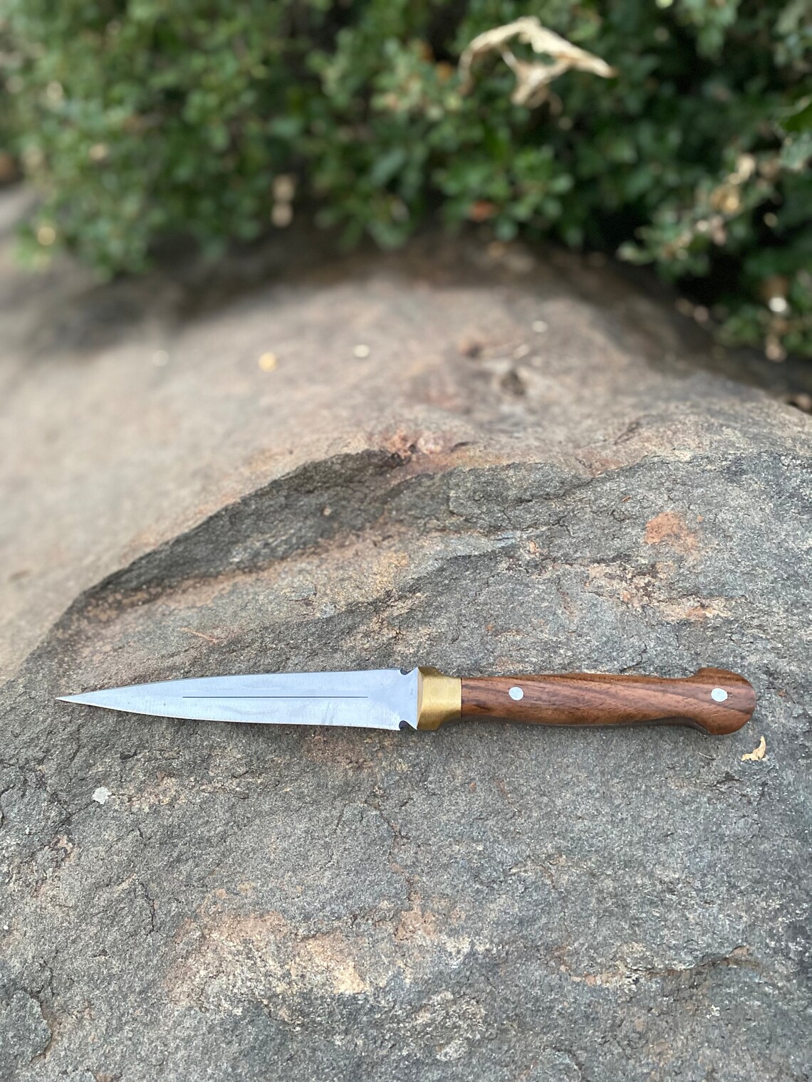 Dagger Knife With Case Mini Hidden Blade Walnut Handle Fairbairn Syke ...