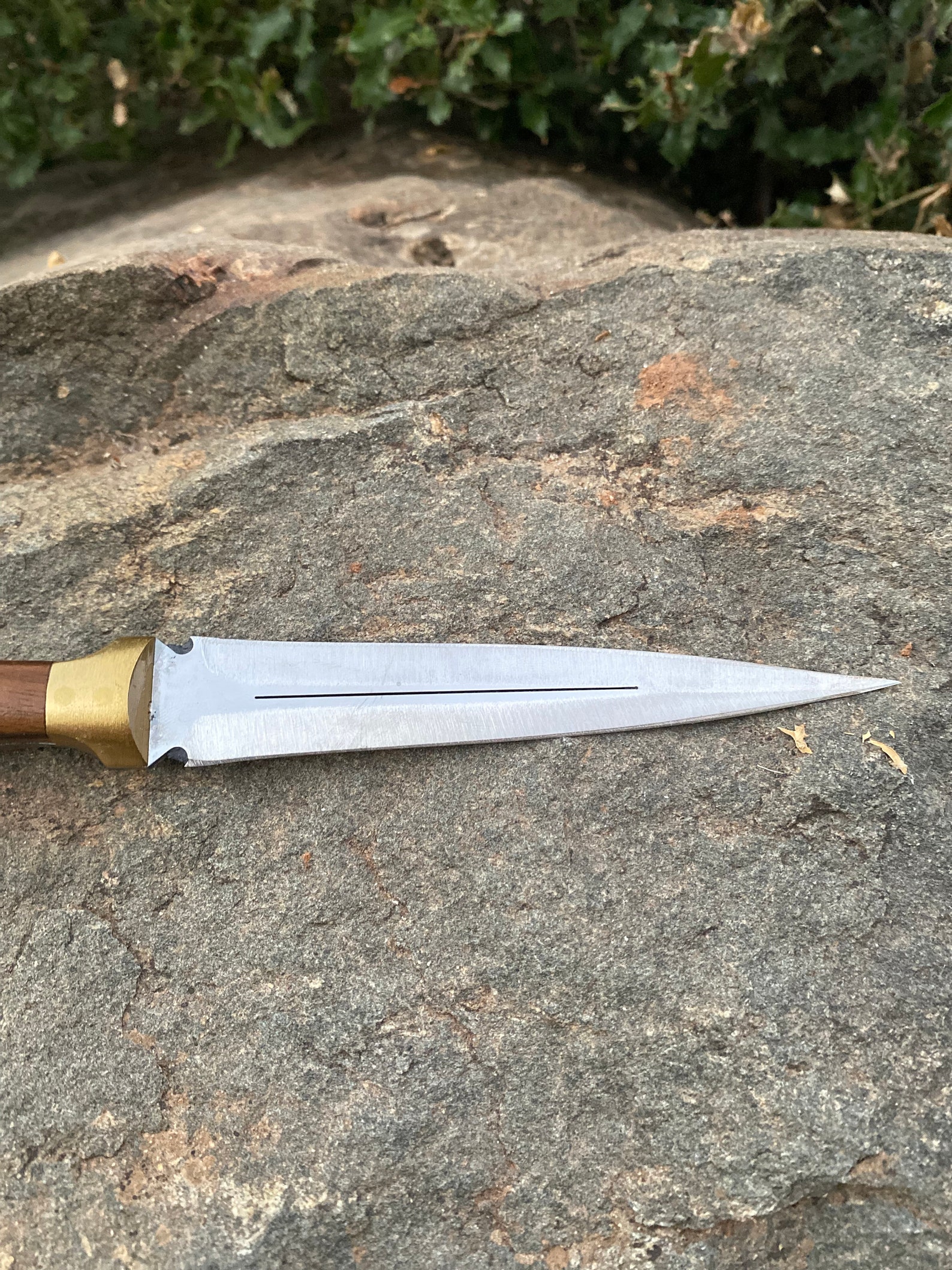 Dagger Knife With Case Mini Hidden Blade Walnut Handle Fairbairn Syke ...