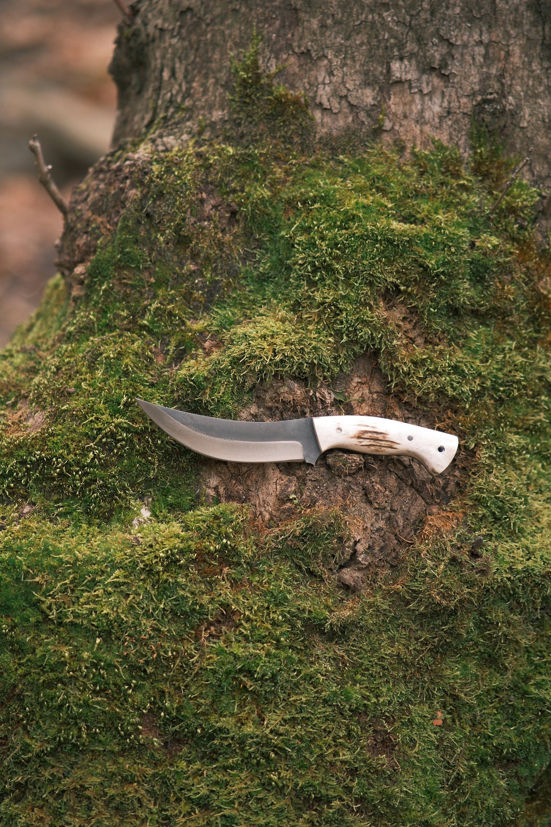 Ottoman-style Hunting Knife: Stag Horn Handle, Full Tang Blade - Etsy