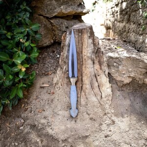 Exquisite Real Dagger With Epoxy Handle and Precision 4116 Stainless ...