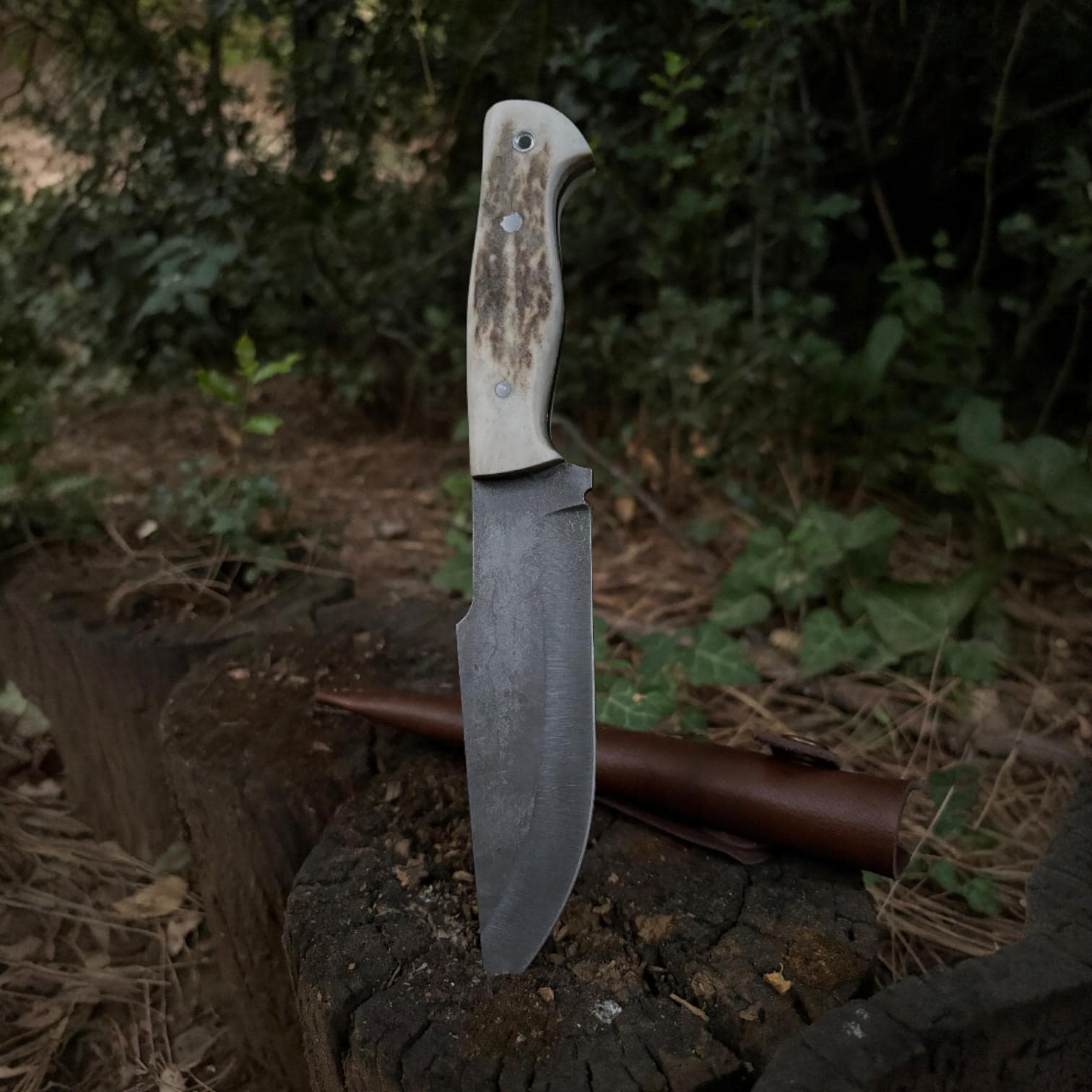 Traditional Bushcraft Knife With Deer Antler Handle, Premium Hunting ...