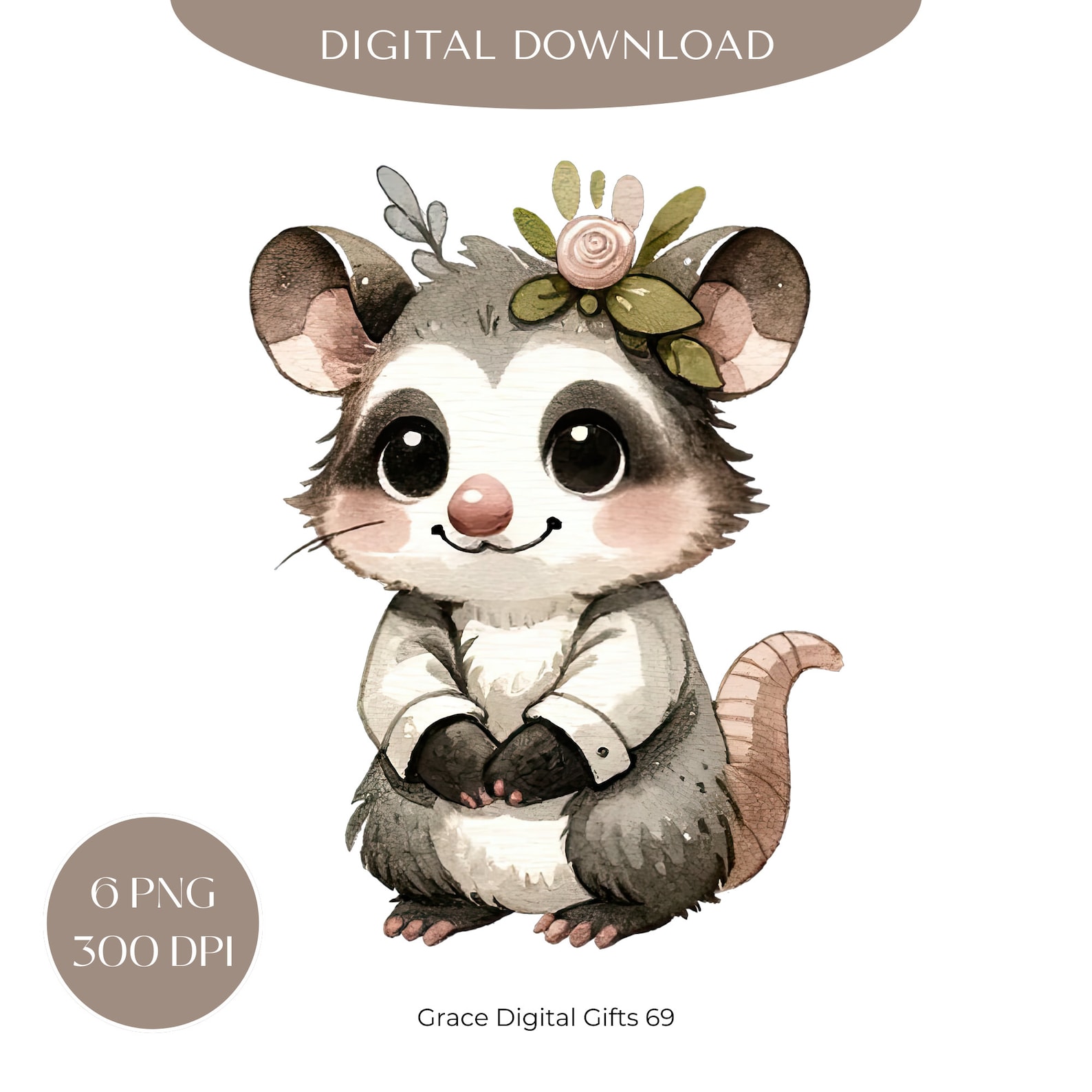 6 PNG Cute Cartoon Possum Clip Art, Cute Opossum Png, Little Opossum ...