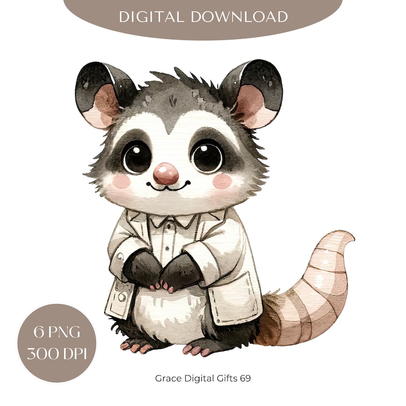 6 PNG Cute Cartoon Possum Clip Art, Cute Opossum Png, Little Opossum ...