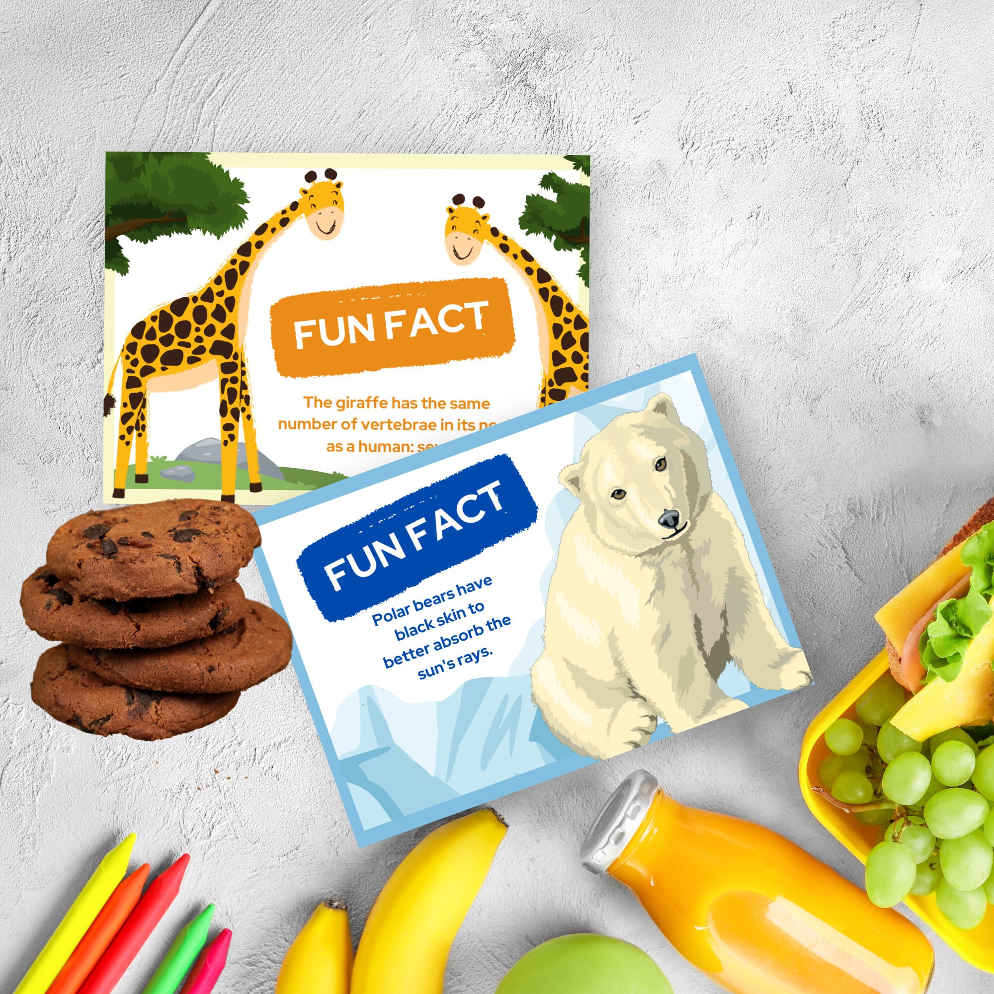 Lunch Box Animal Facts Printable Pack Lunchbox Noteslunch - Etsy