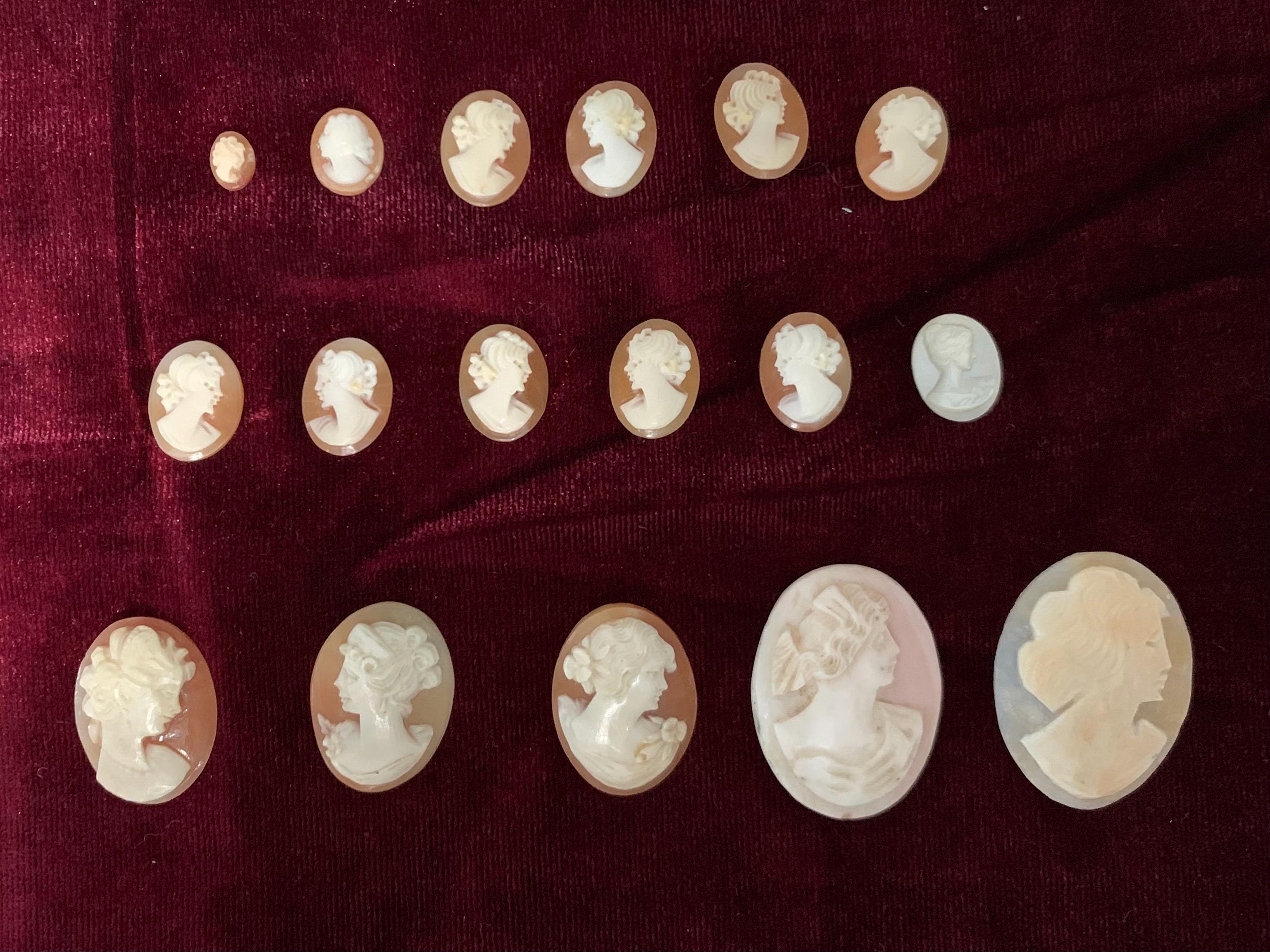 Victorian Era Carved Shell Cameos - Etsy