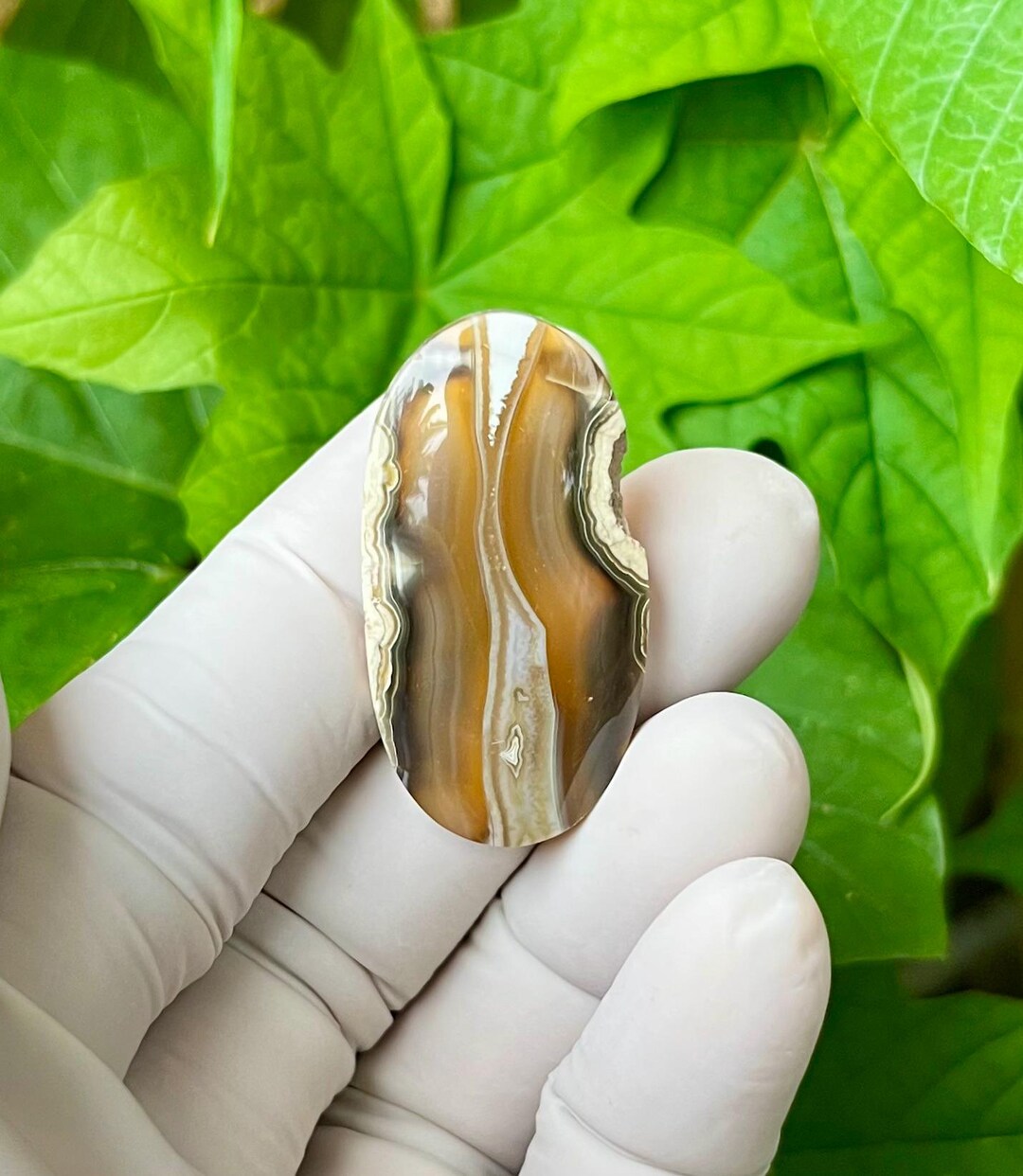 Cabochon CARNELIAN Agate; Rare Pattern - Etsy
