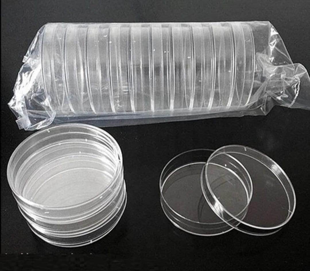 Sterile Plastic Agar Plates 90mm (pk of 10) - Etsy