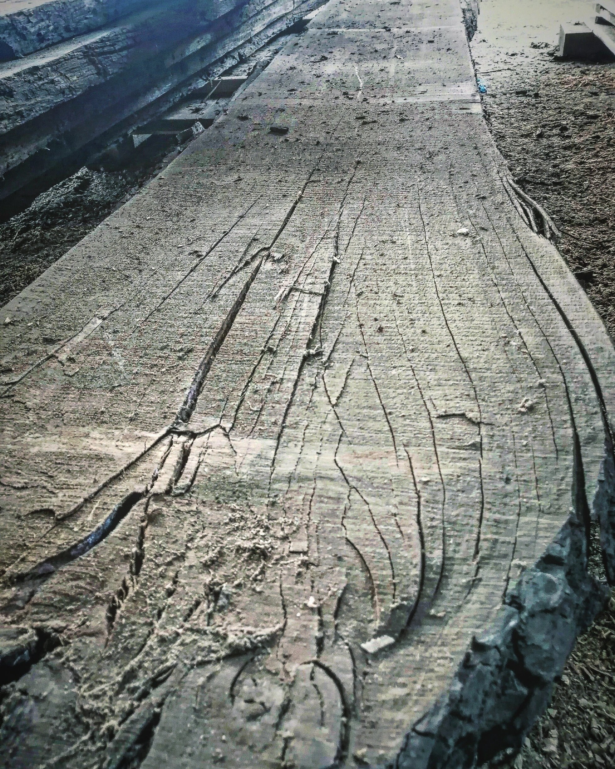 Bog Oak Wood Live Edge Slabs Etsy
