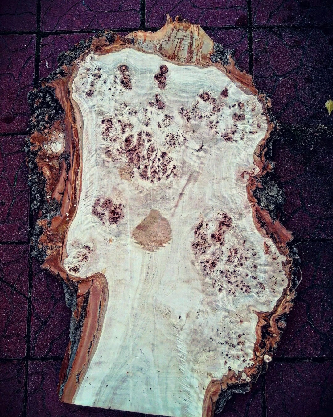 Mappa Burl Wood Live Edge Slabs Lumber - Etsy.de