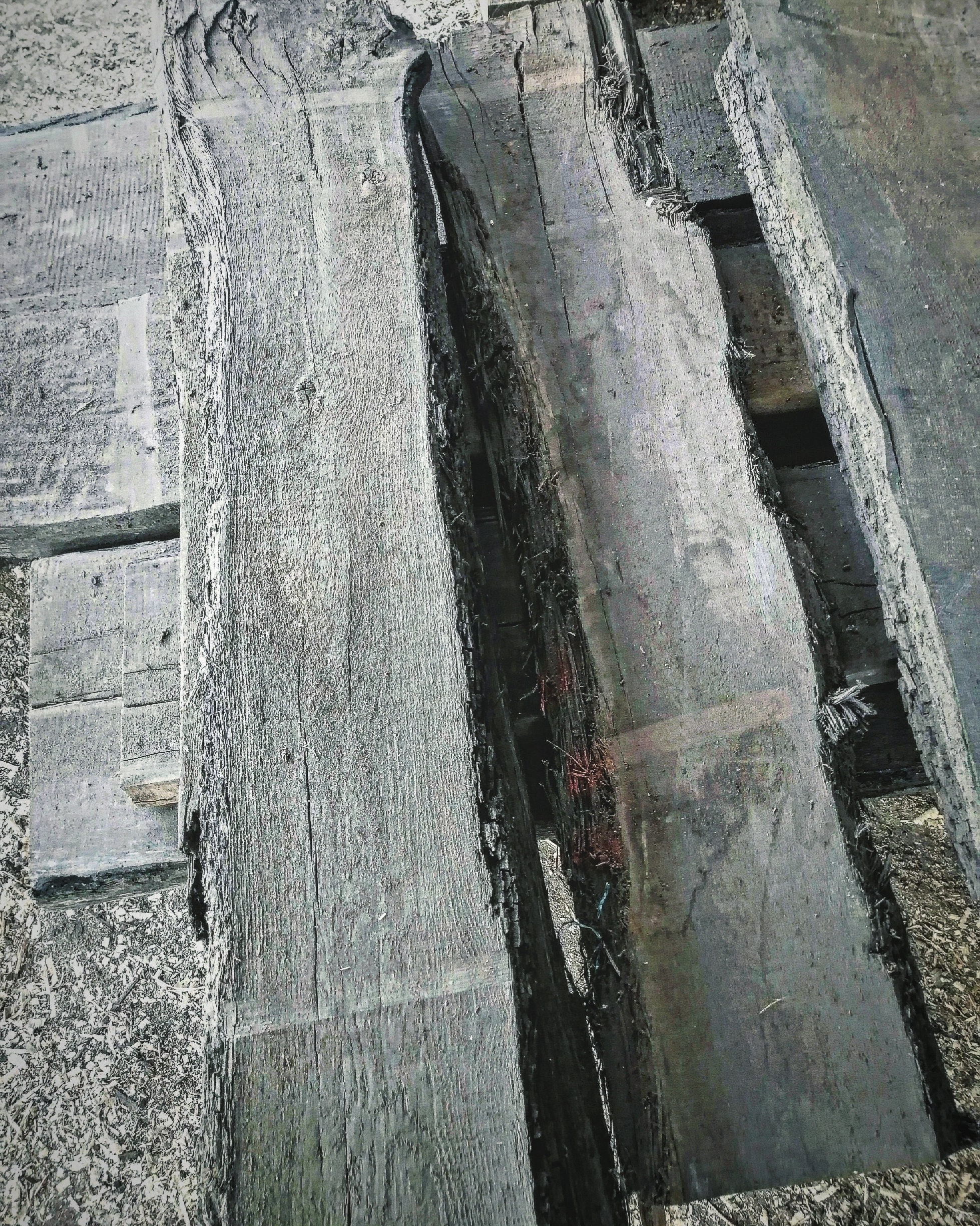 Bog Oak Wood Live Edge Slabs Etsy