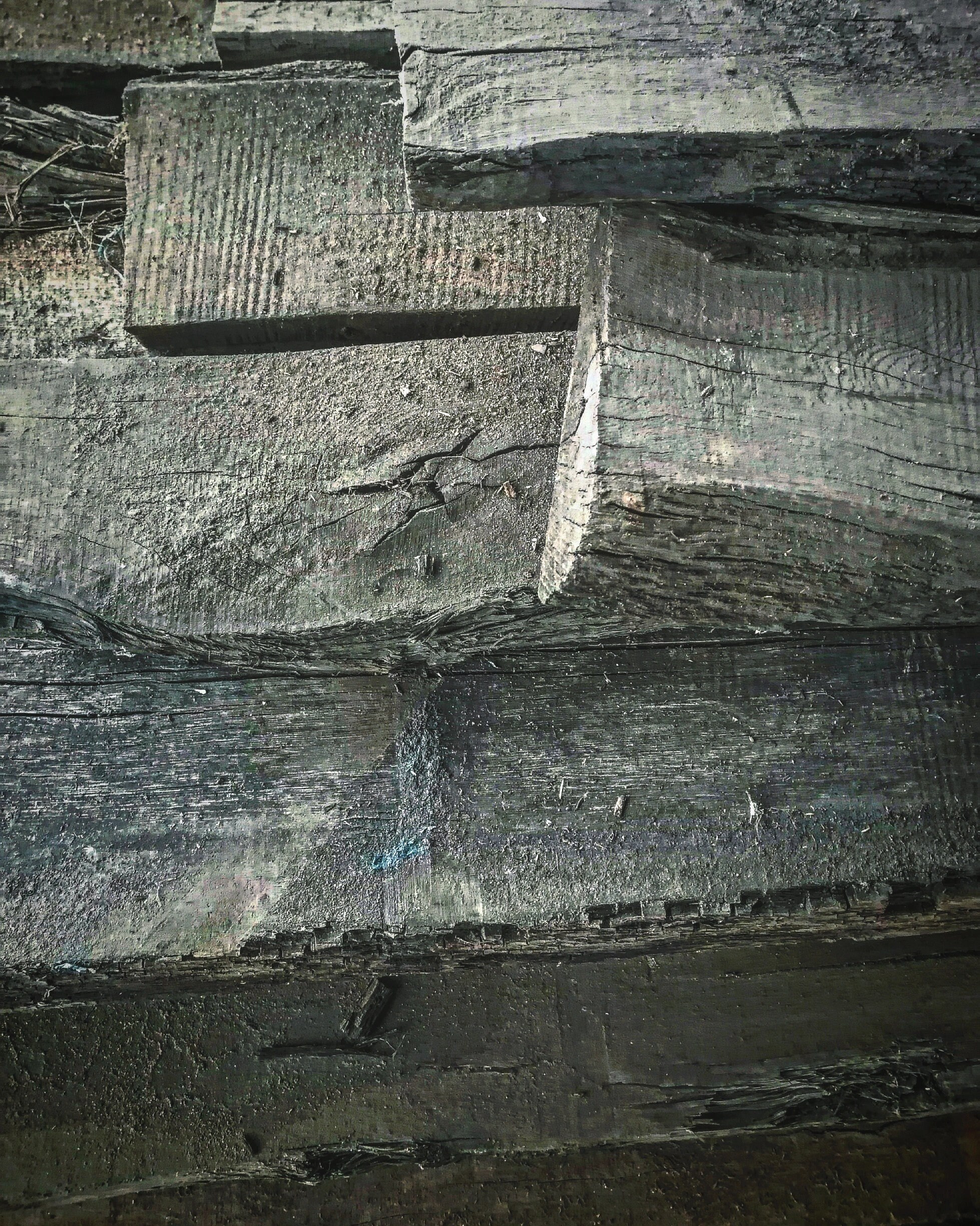 Bog Oak Wood Live Edge Slabs Etsy